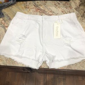Shorts | Nwt Distressed White Denim Shorts | Poshmark